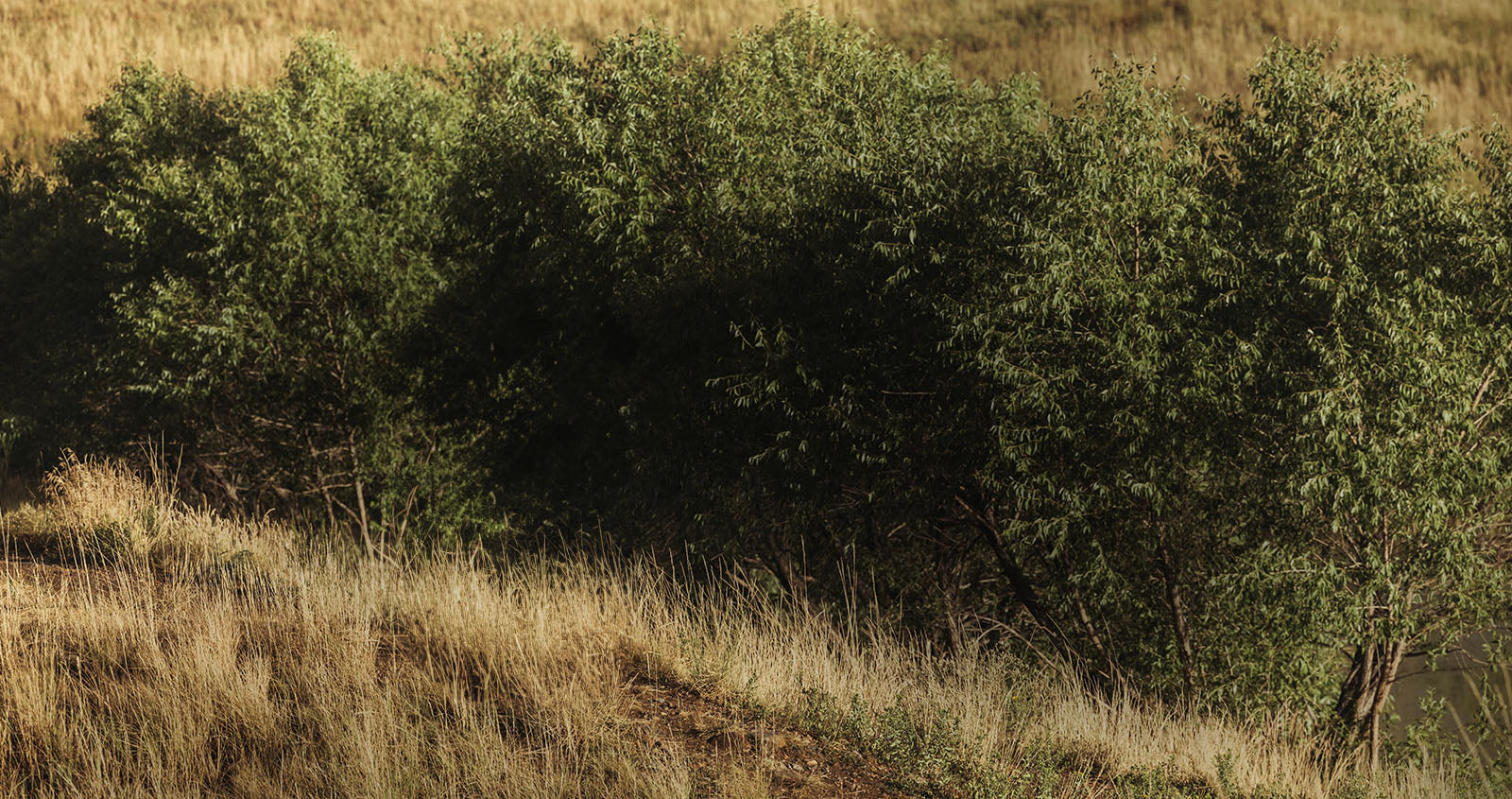 Gravel Series – LIV Swiss Watches